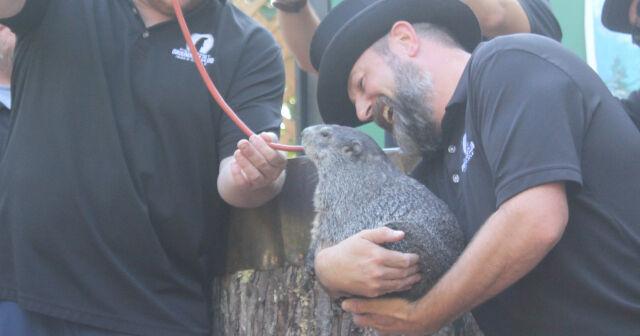 Phil to receive Elixir of Life on Saturday | News | punxsutawneyspirit.com