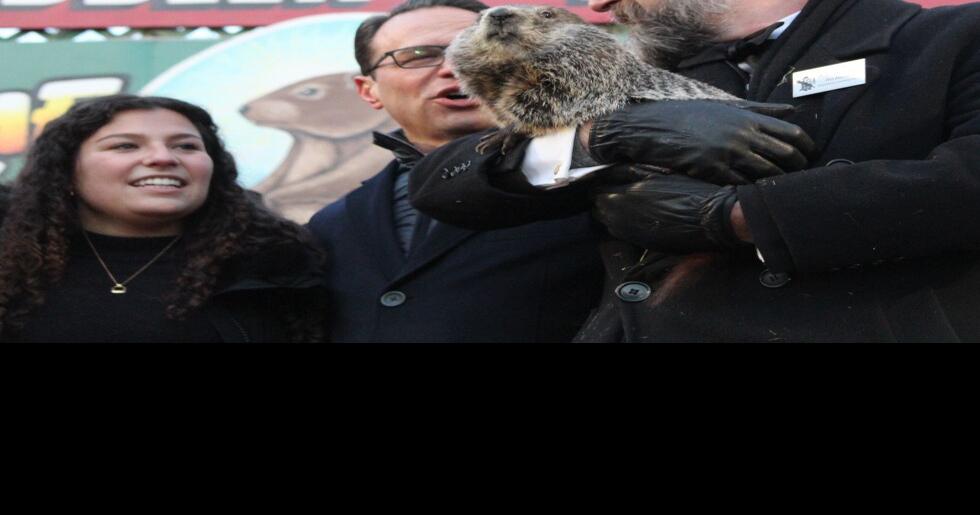 Groundhog Day 2024 event schedule released by the Groundhog Club | News ...