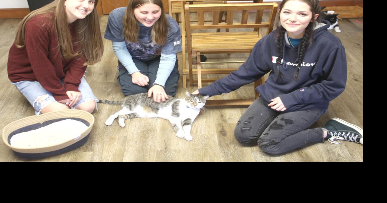 Brookville’s Calico Cafe offers unique coffee experience | News ...