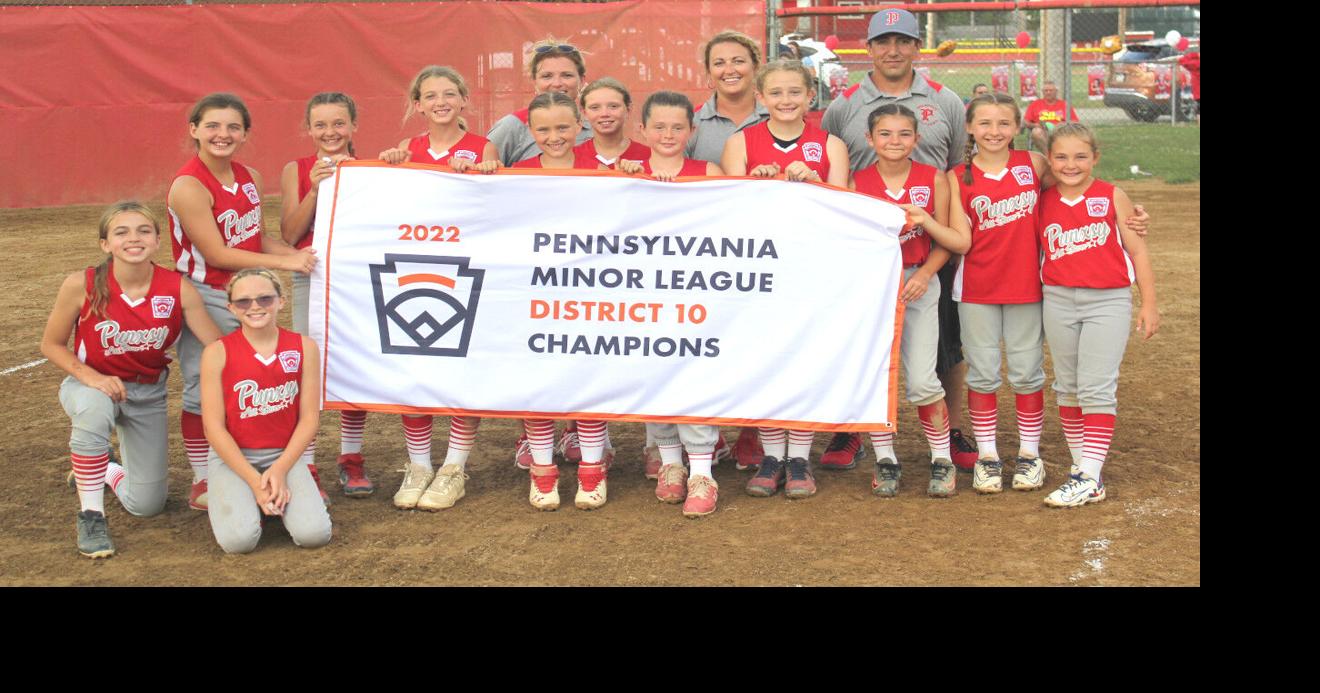 8-10 Softball All-Stars win district championship | News ...