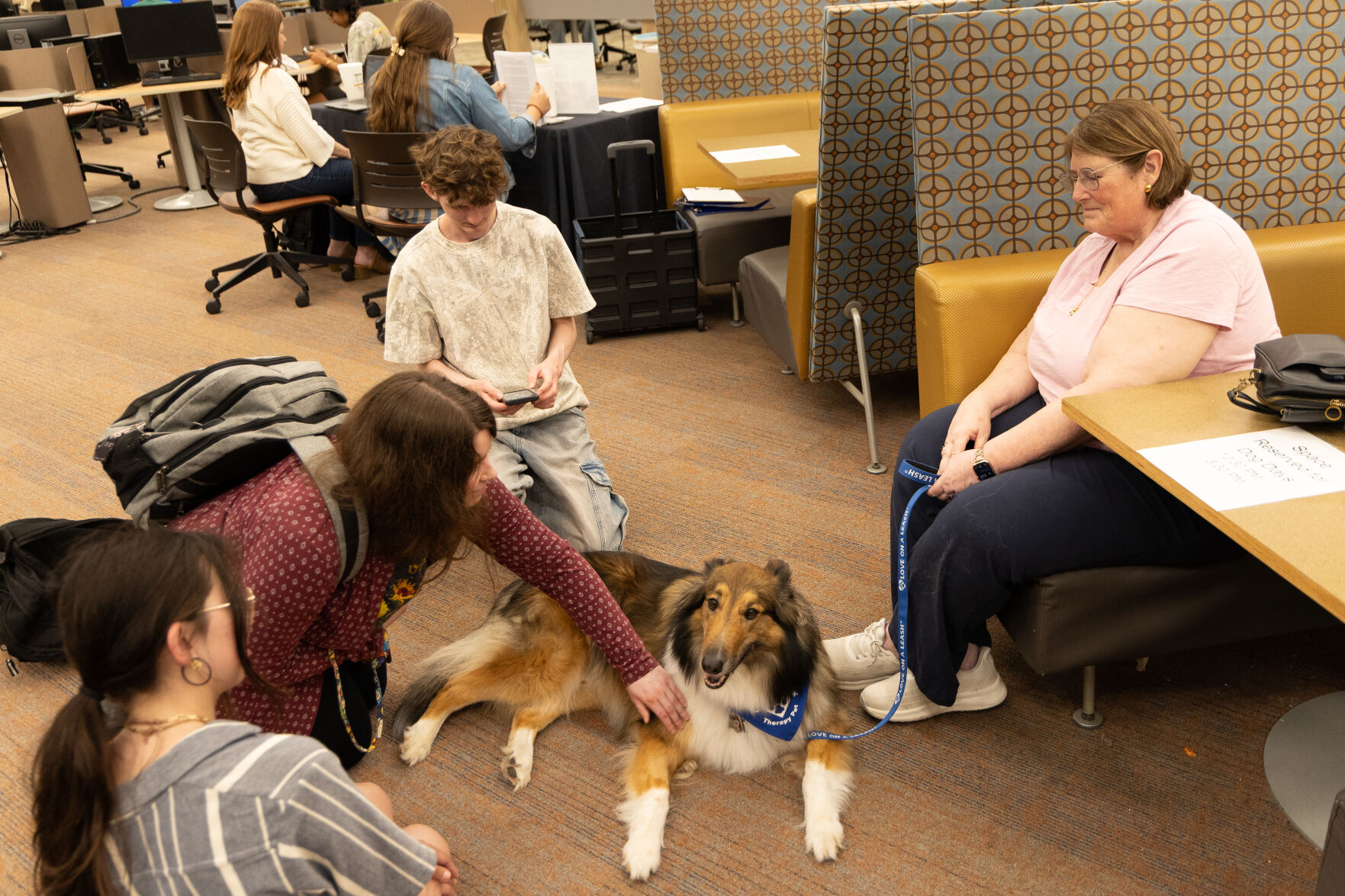 ‘Dog Days’ at Purdue libraries offer students a study break | Campus ...
