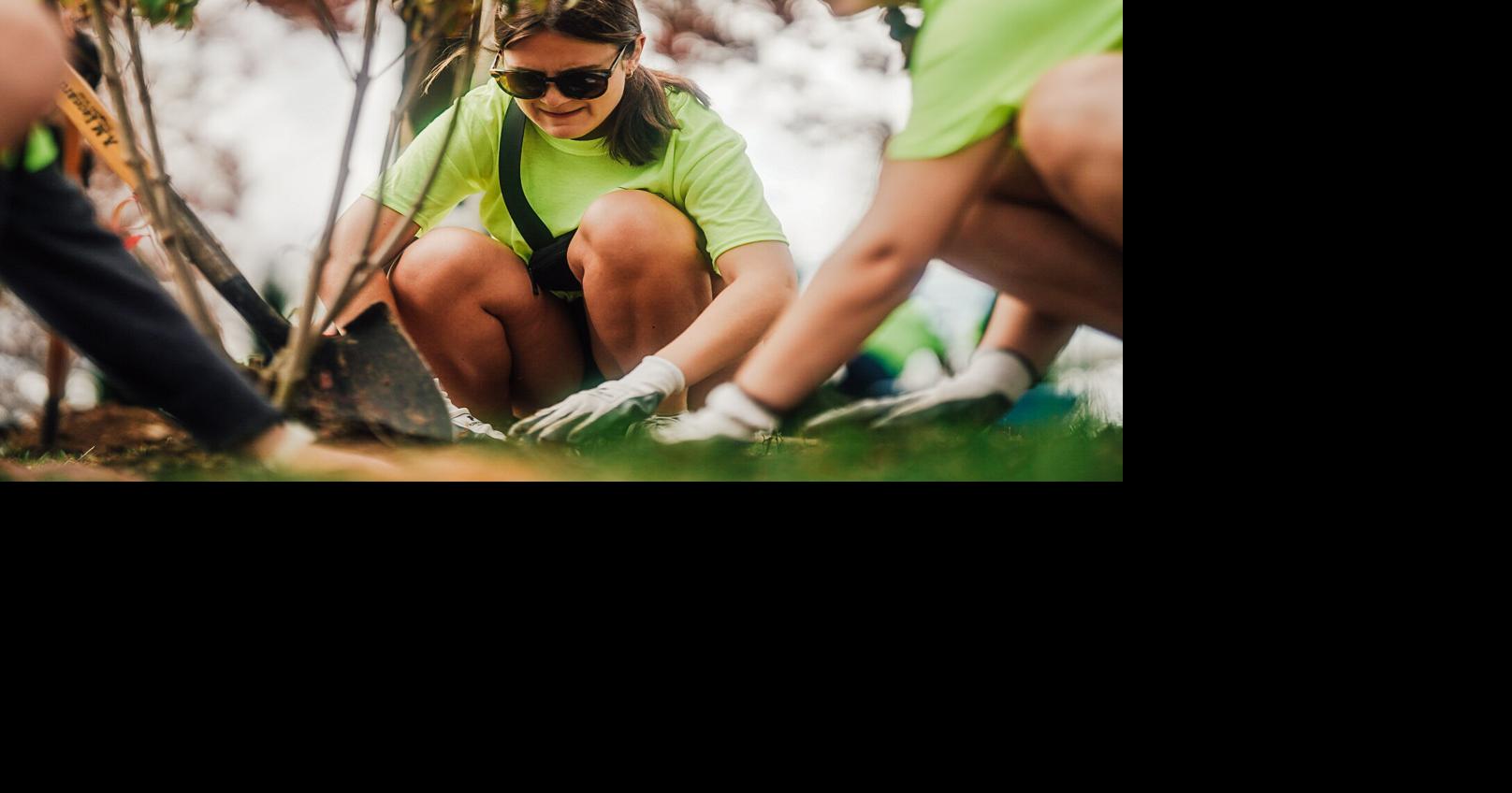 WL to plant 100 trees across city | City & State | purdueexponent.org