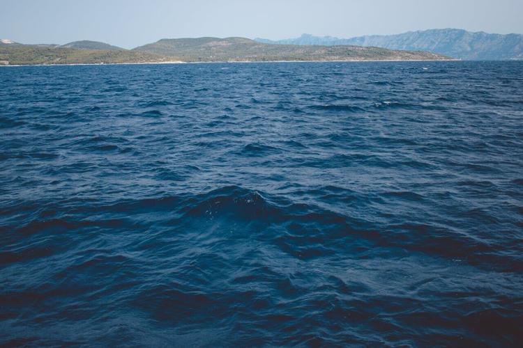 Forensic analysis of Roman shipwreck reveals something new | National ...