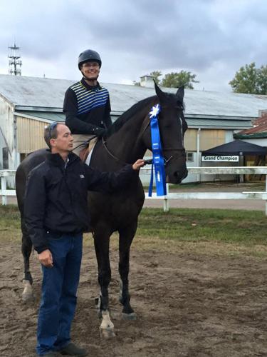 chris johnson equestrian