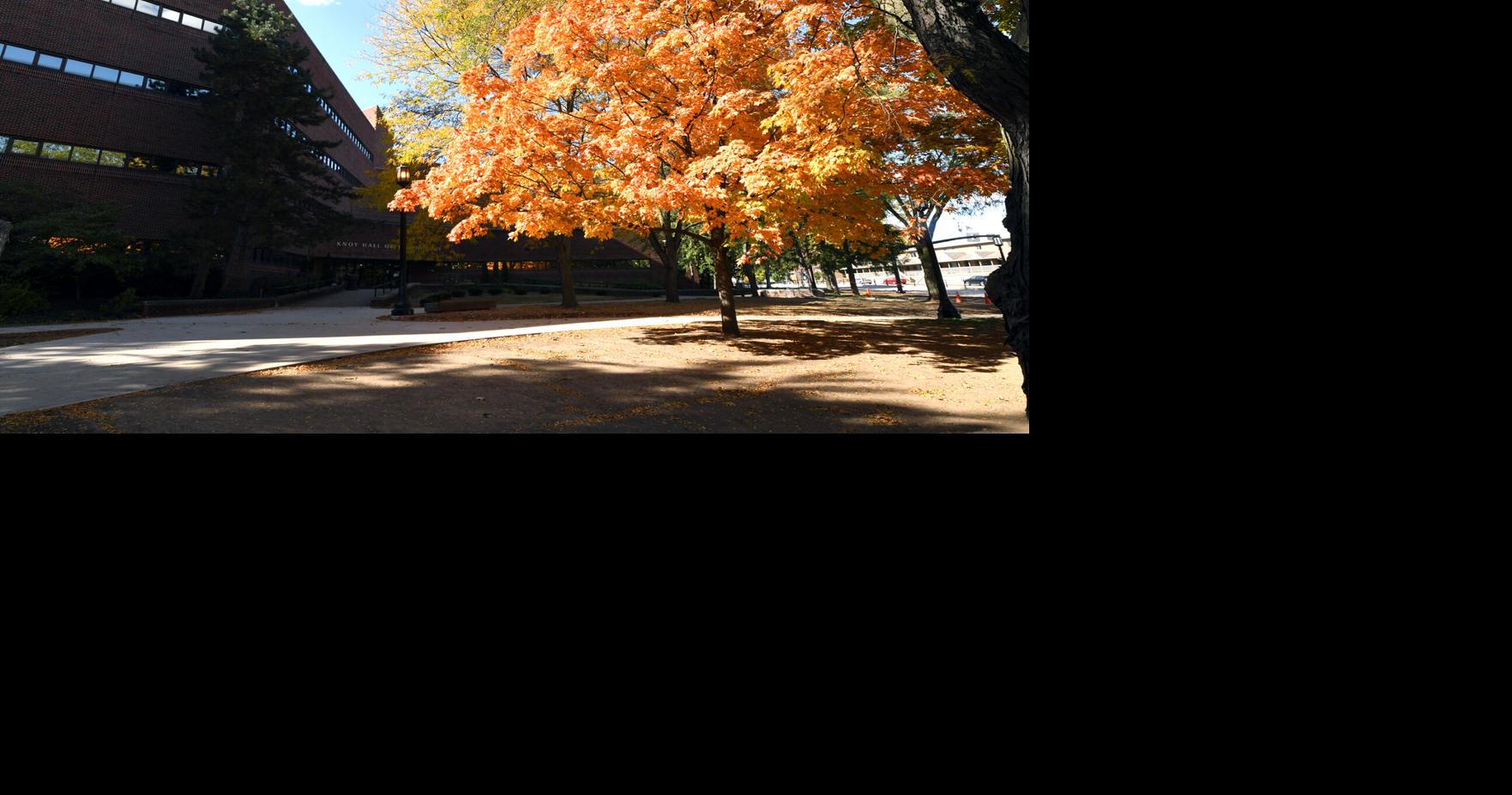 10/10/22 Fall Break Colors | Multimedia | purdueexponent.org