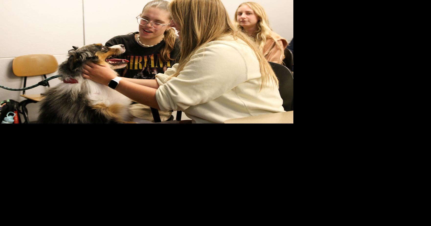 Paw-sitive impact | | purdueexponent.org