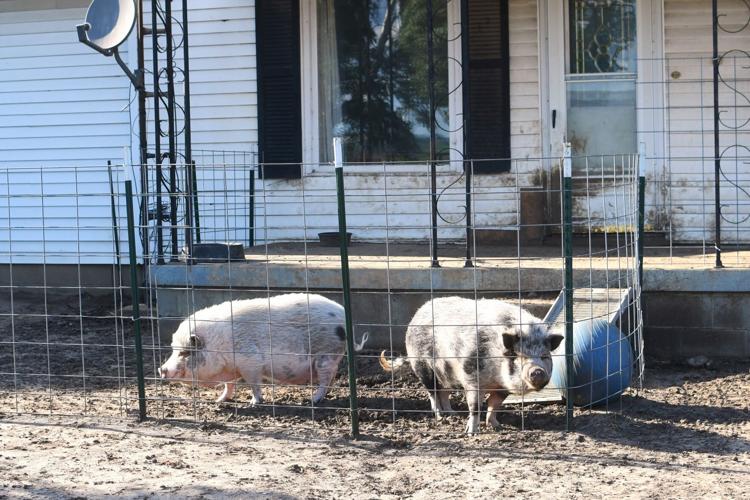 A sanctuary and a home | City State | purdueexponent.org