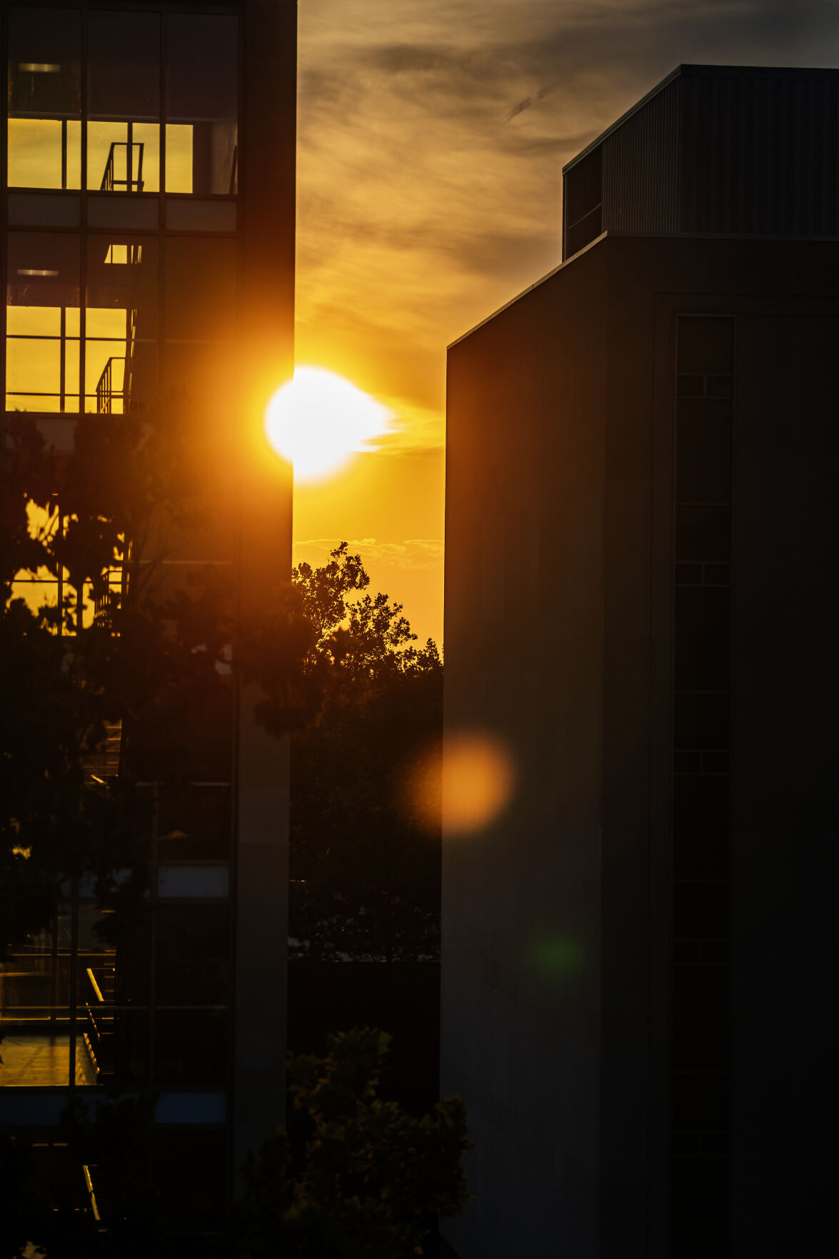 Scenes from Campus: Campus at sunset | Campus | purdueexponent.org