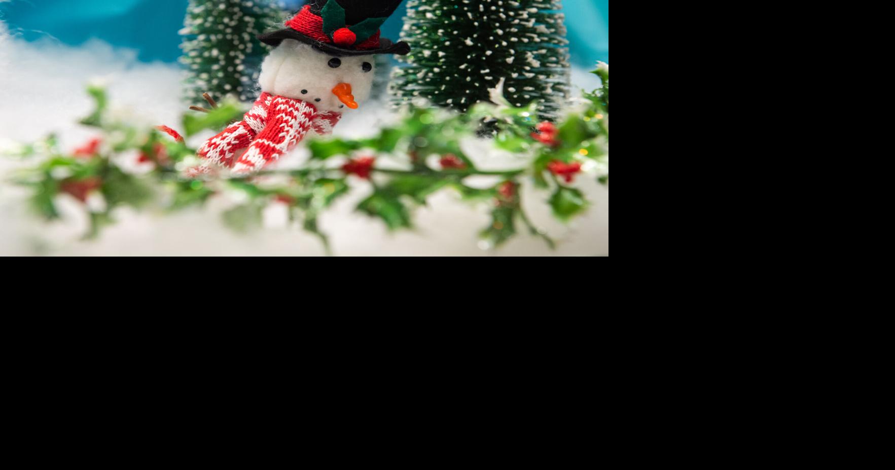 2/2/23 Scenes from Campus, Purdue Musical Organization Snowman | Campus ...