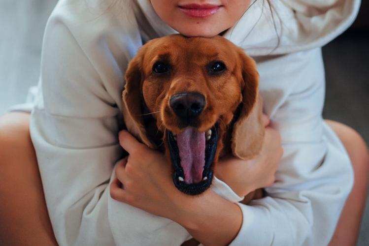 Does cuddling cats or dogs actually ease anxiety? | Health ...