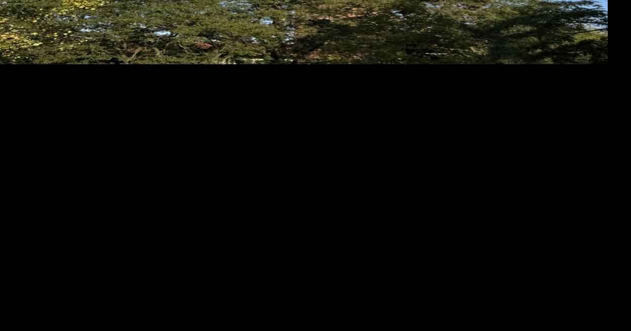 daniel flaherty purdue