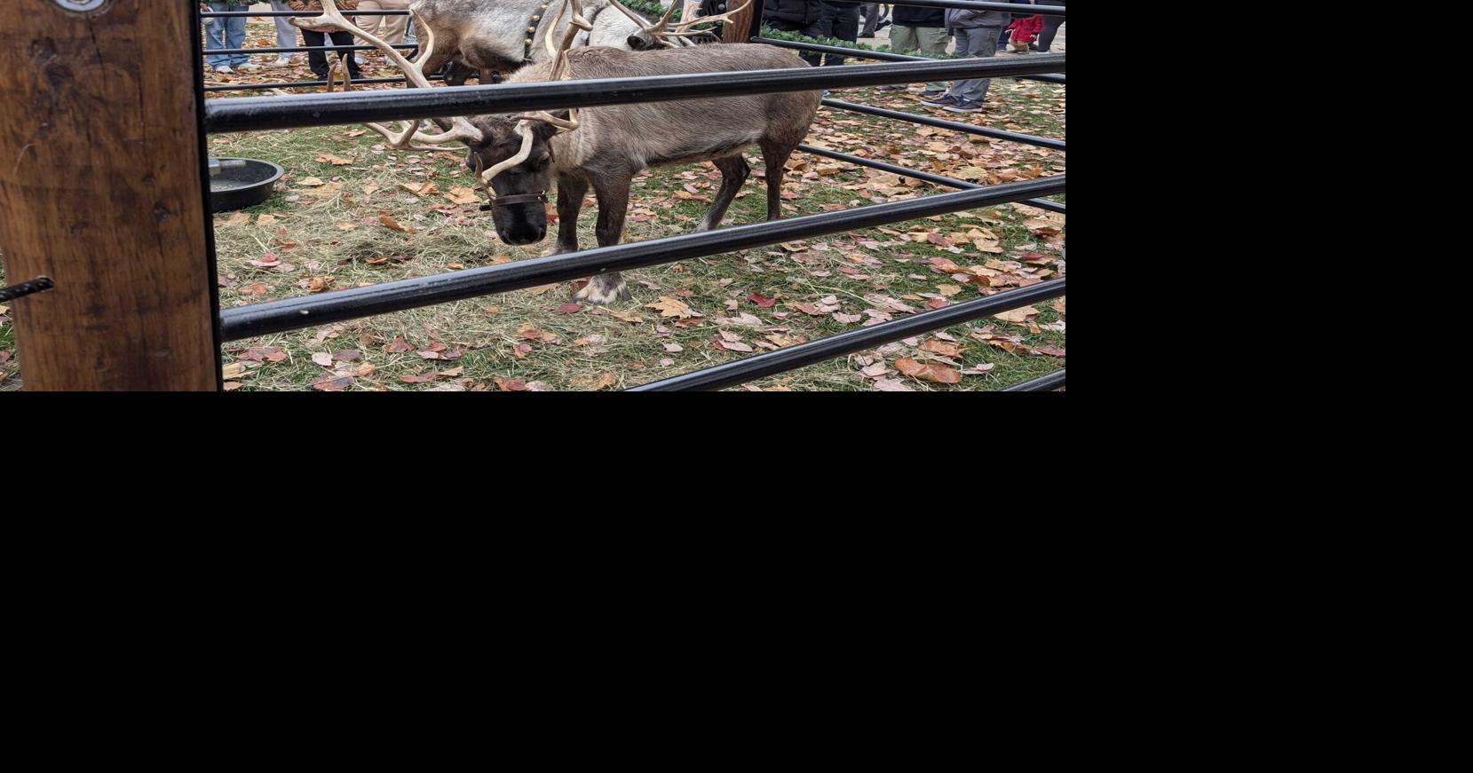 Purdue Musical Organizations hosts second annual Christmas Show preview ...