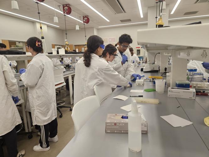 biomedical engineering labs purdue