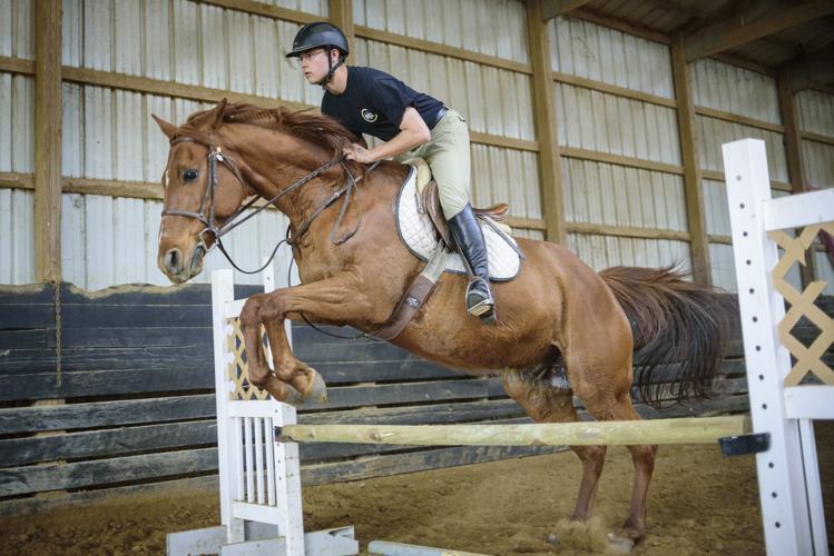 chris johnson equestrian