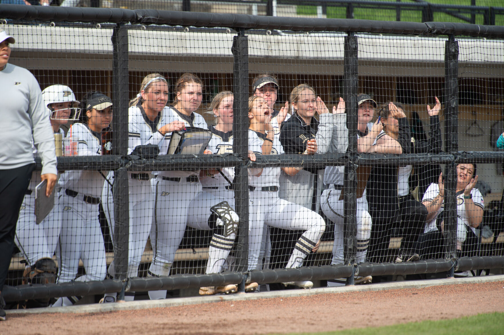 Softball | purdueexponent.org