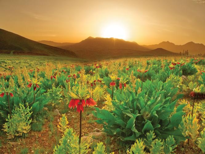 Widening the lens: Iran Beyond Politics | Features | purdueexponent.org