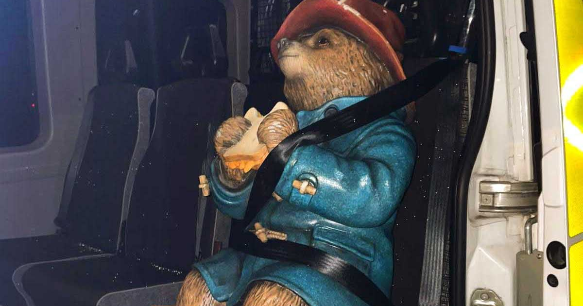How Paddington Bear ended up in the back of a police van | National ...
