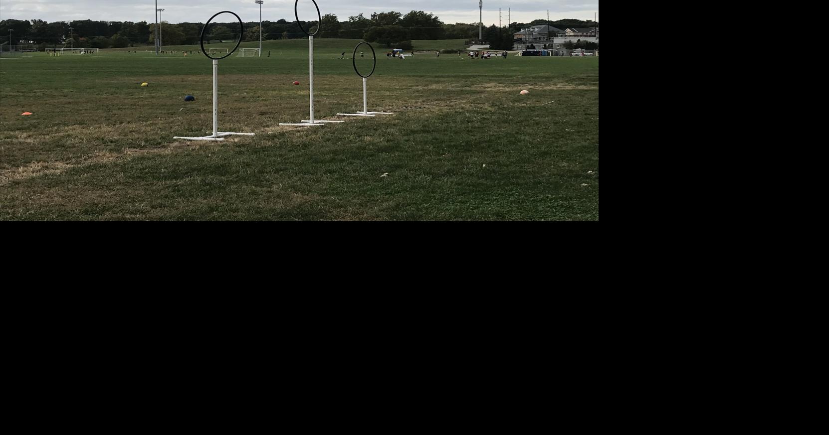 quidditch hoops