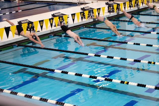 Purdue Swimming: Swimmers dive back in | Swimming And Diving ...