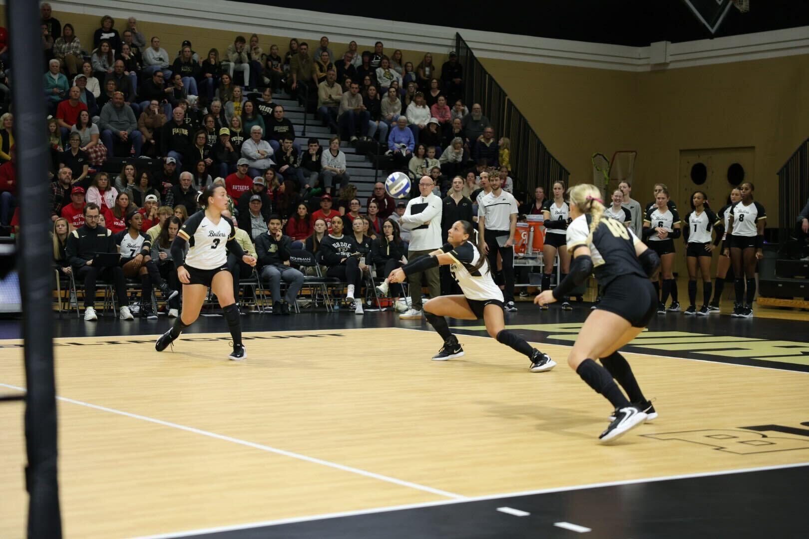 Purdue volleyball sweeps Rutgers | Volleyball | purdueexponent.org
