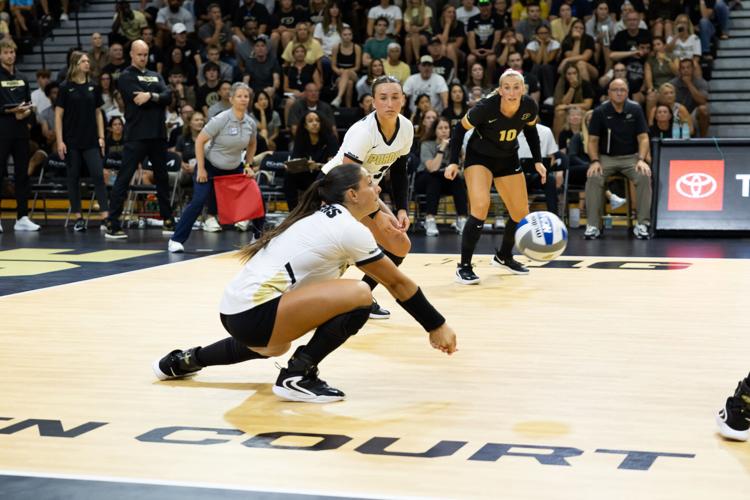 Purdue volleyball wins Stacey Clark Classic again | Sports ...