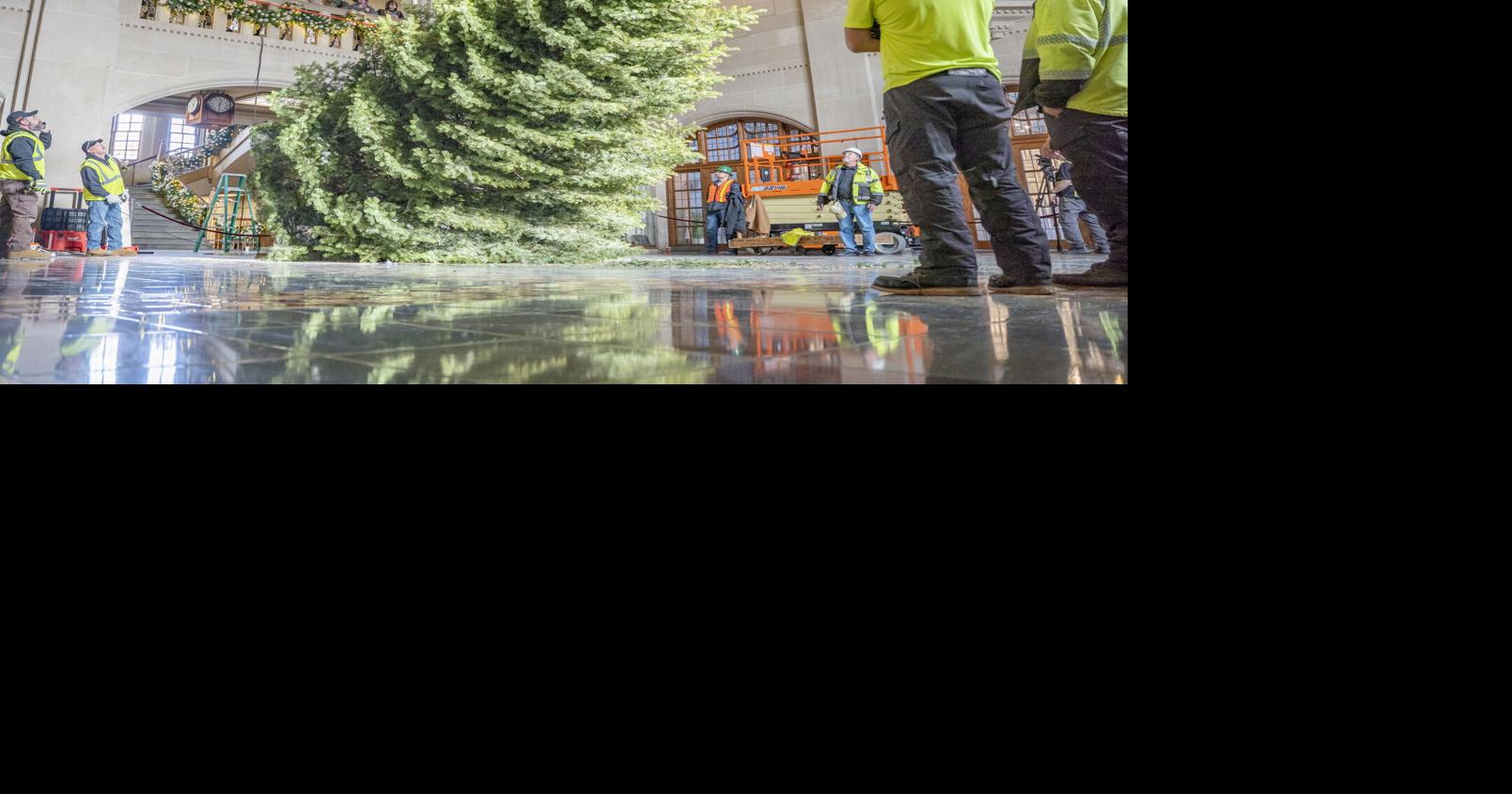 PMU welcomes annual Christmas tree | Campus | purdueexponent.org