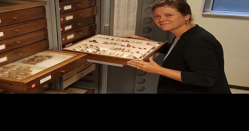 Purdue entomologist receives Science Foundation grants for collections ...