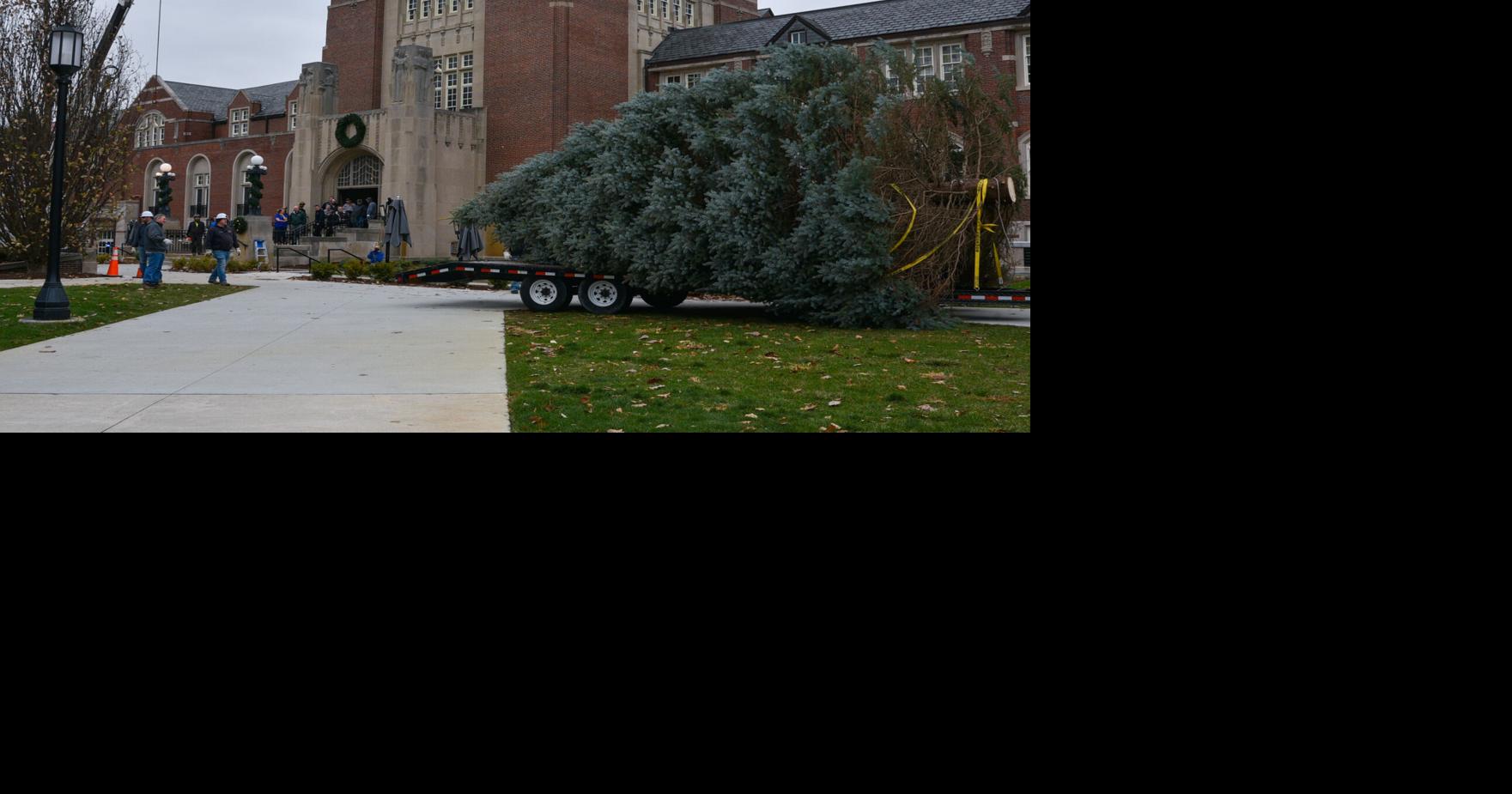 11/28/22 PMU Christmas tree arrives from Lafayette, tree arrives ...