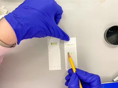 Purdue chemistry professor leads new research on manufacturing ...