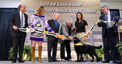 Bret Marsh appointed as Purdue vet school dean | Campus ...