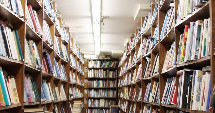 Rivet Staff Book Recommendations! | Rivet | purdueexponent.org