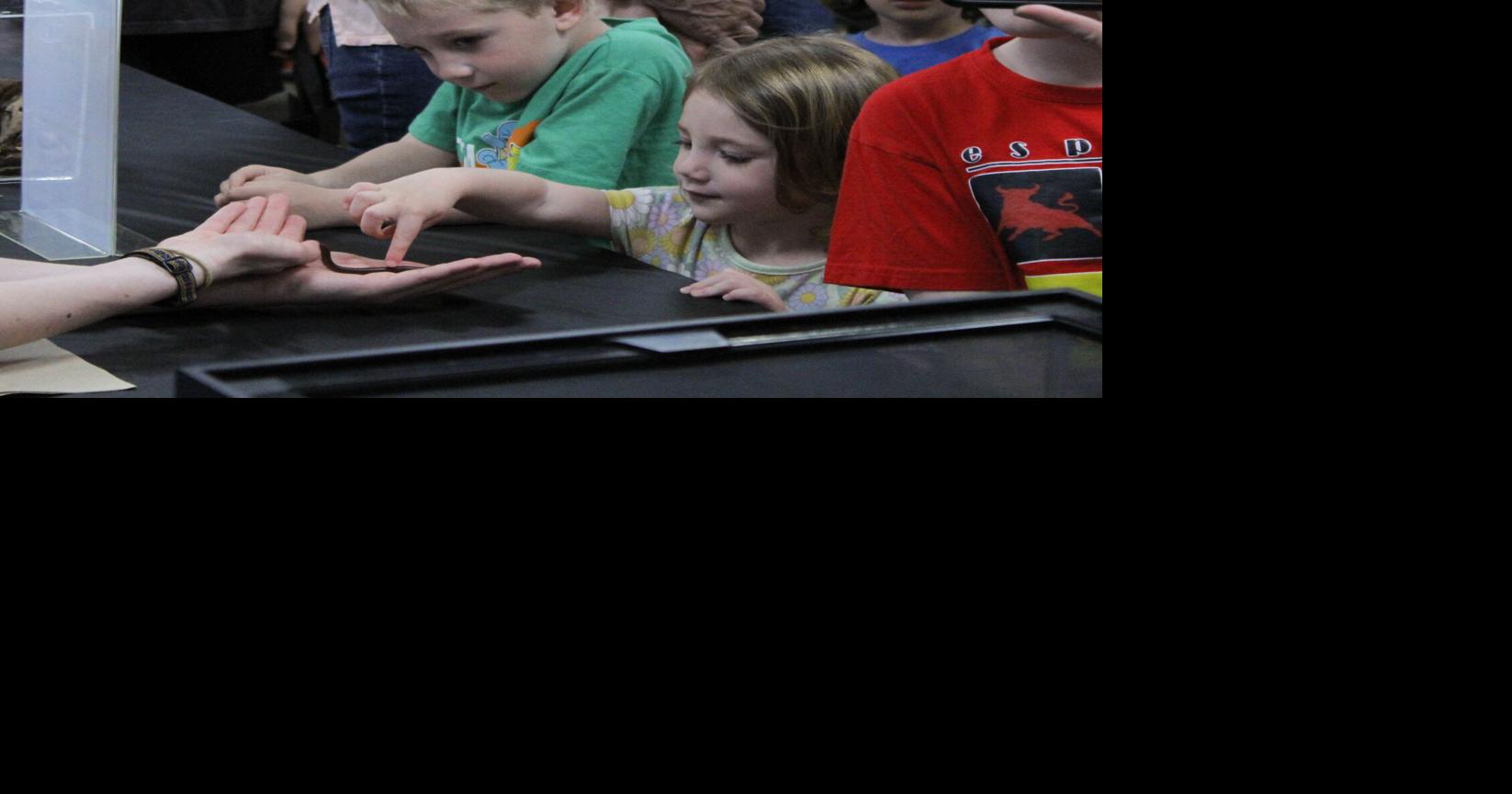 4/15/23 Bug Bowl and Spring fest, Bug petting zoo | Campus ...