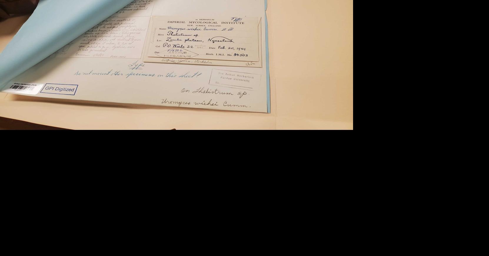 A Purdue curator's appreciation of cursive | Campus | purdueexponent.org