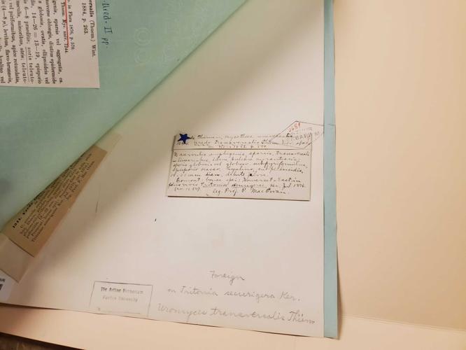 A Purdue curator's appreciation of cursive | Campus | purdueexponent.org