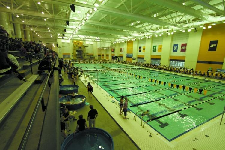 Program's success expands in a decade | Swimming And Diving ...