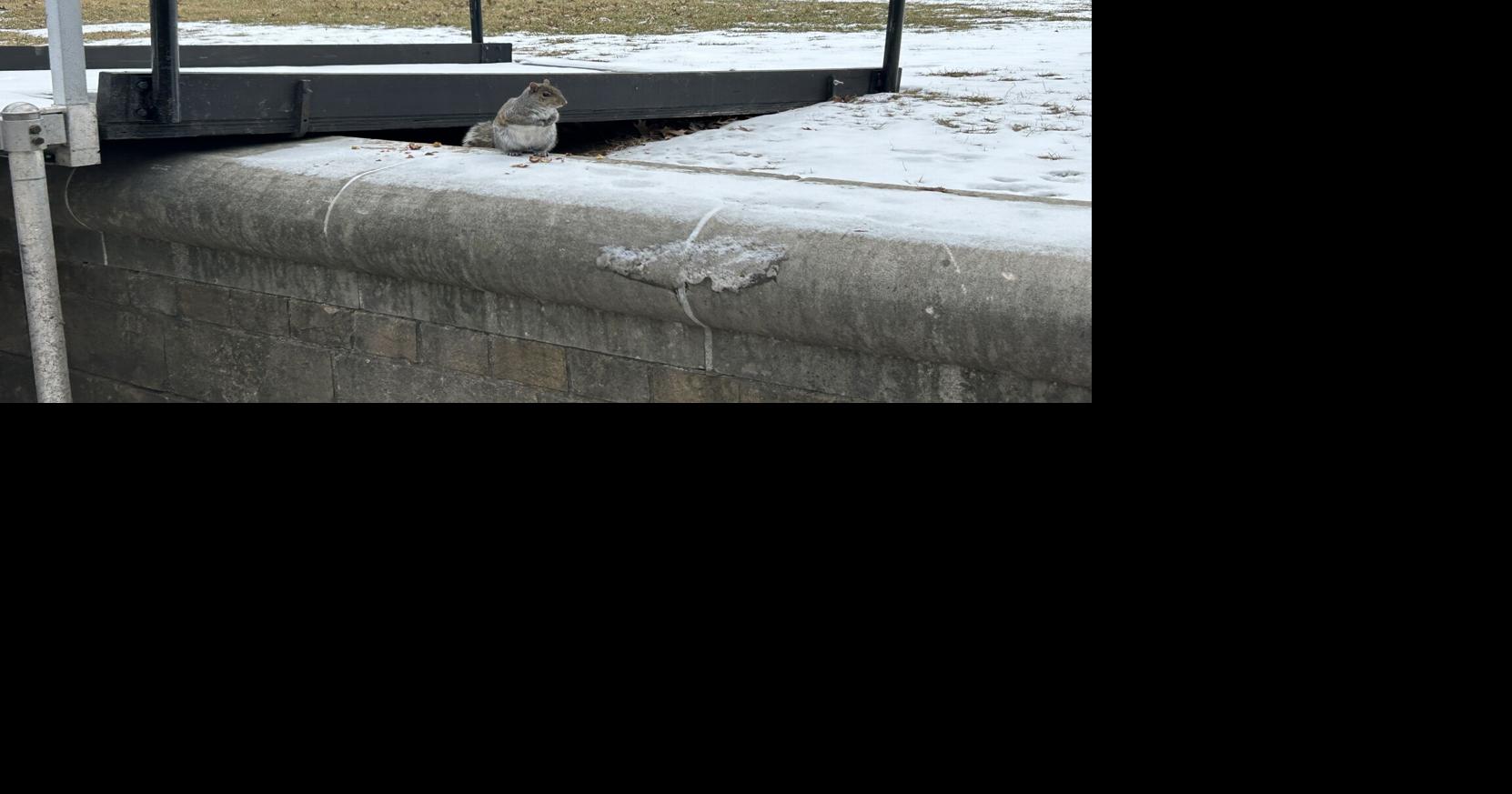 Blind Hoosier set to traverse North Pole | City State | purdueexponent.org