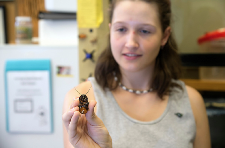Bug Barn allows students to learn, overcome fears | Features ...