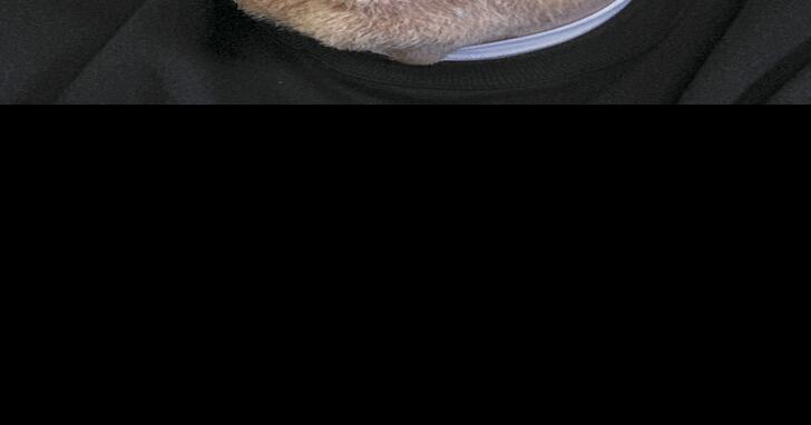 John (Jack) Edwin Wetzel | Obituaries | purdueexponent.org