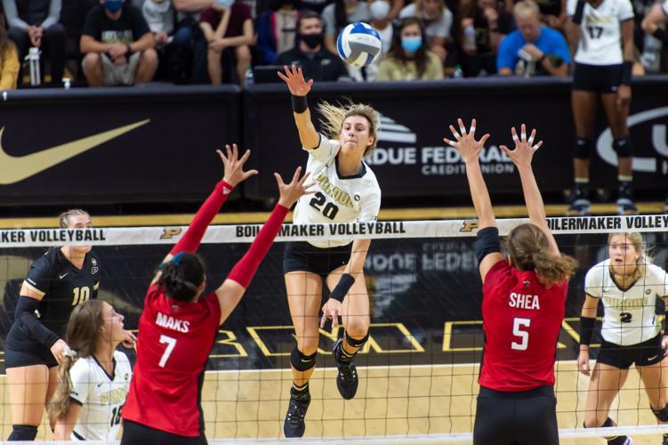 Boilermakers Come Back Strong vs. Rutgers | Volleyball | purdueexponent.org