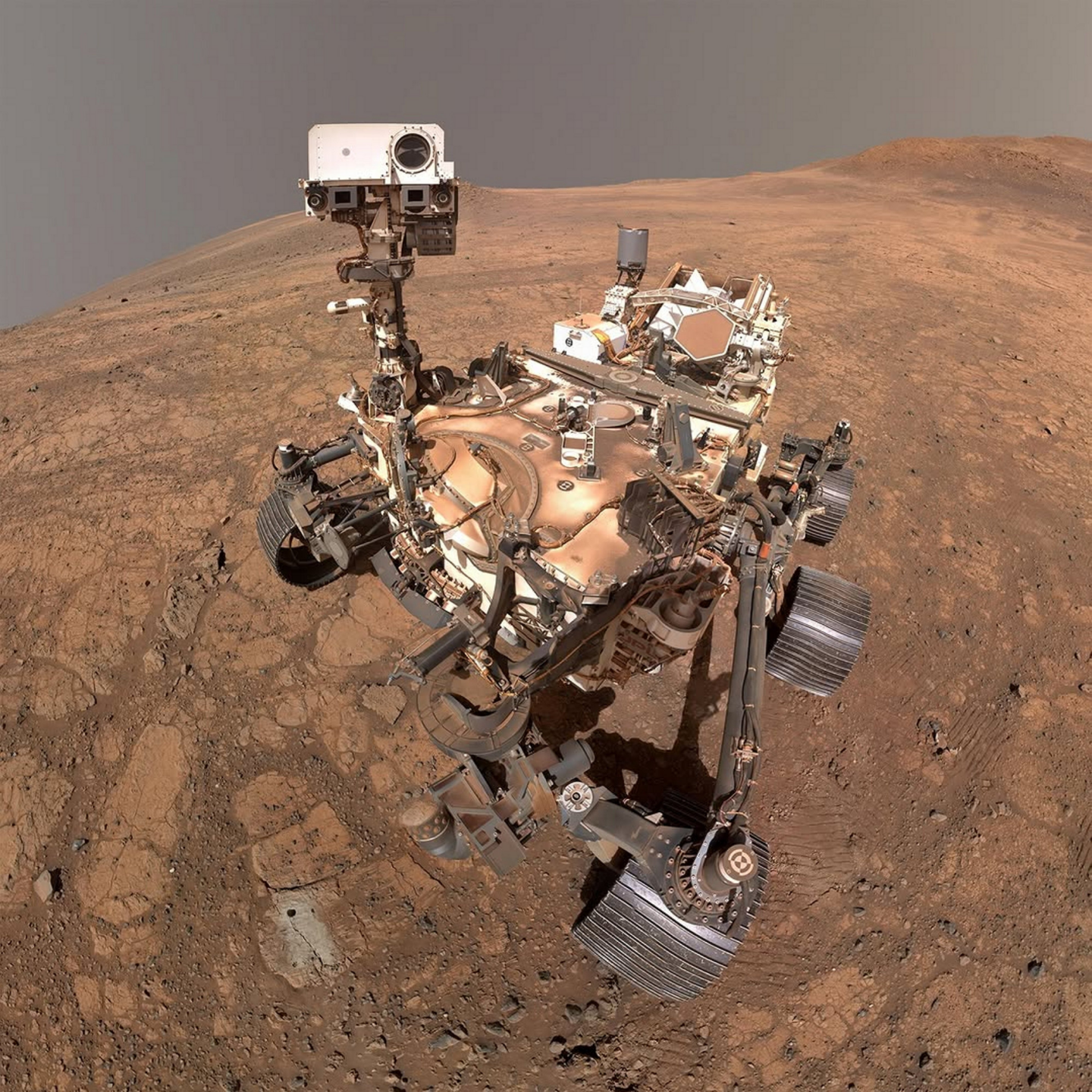 Mars rover spots rock that looks like a dinosaur skull | National ...