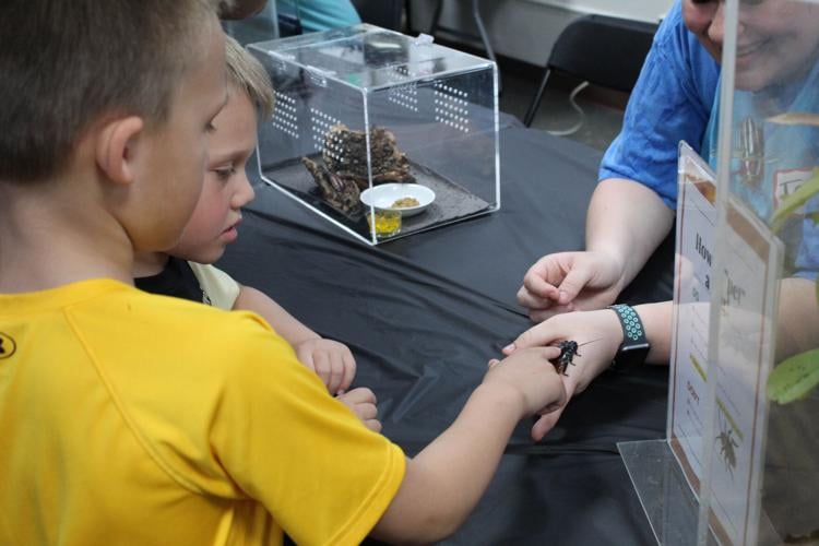 Bug Bowl wraps up Spring Fest | Campus | purdueexponent.org