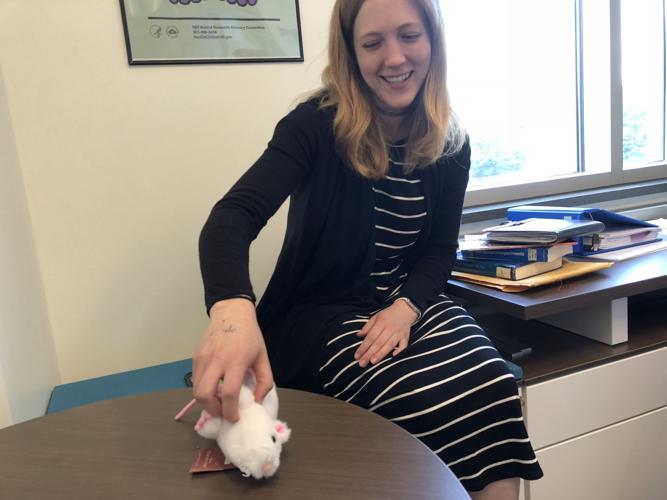 Purdue researchers 'tickling' rats for science | Campus ...