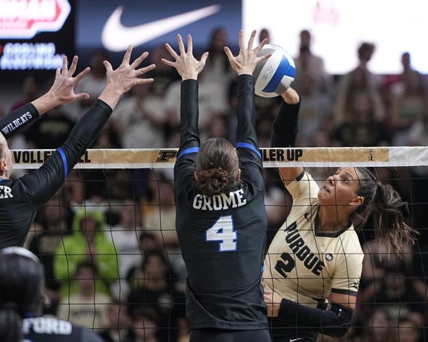 Home cooking | Volleyball | purdueexponent.org