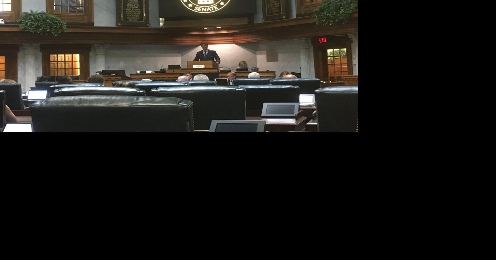 Senate bills aim to address expected rise in unwanted pregnancies ...