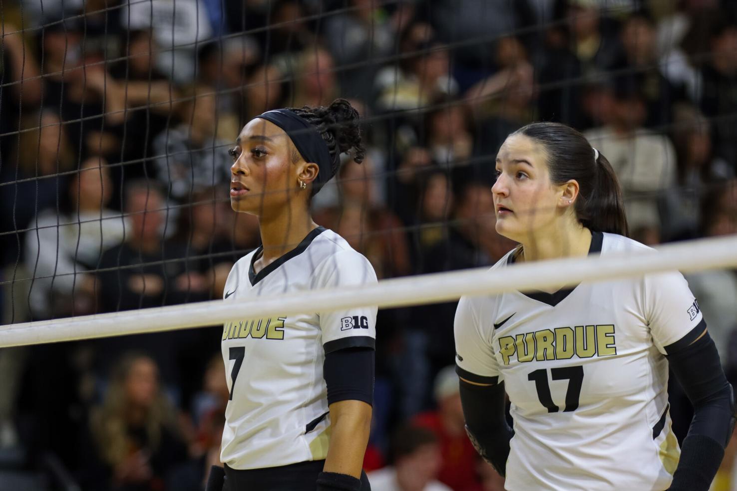 Volleyball roster reloaded: five departures, five signings | Volleyball ...