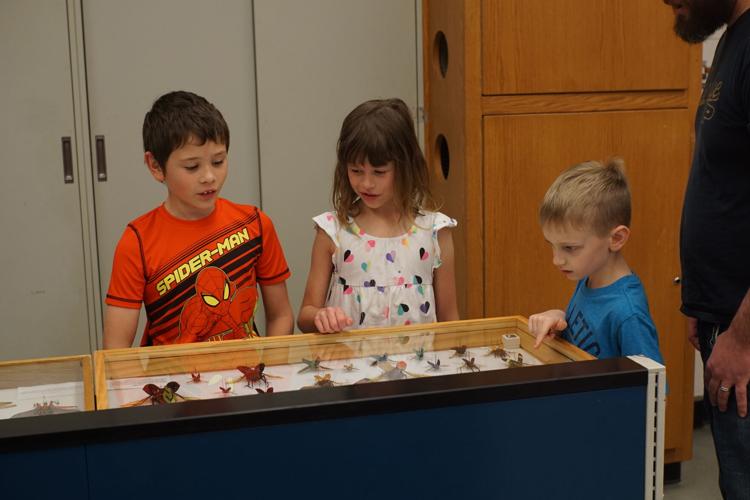 Spring Fest's Bug Bowl nurtures curiosity and community | Campus ...