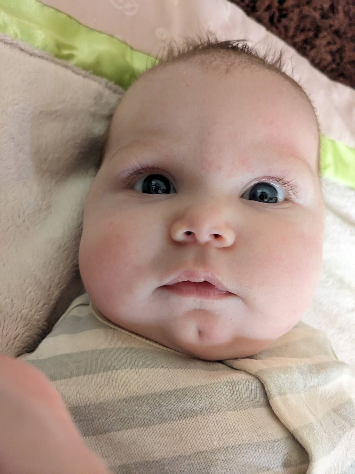 Baby Boilers - Mary Bullock | | purdueexponent.org