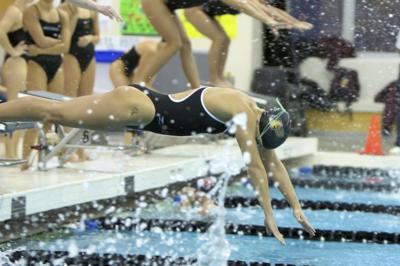 Seven women’s swimmers head to NCAA Championships | Swimming And Diving ...