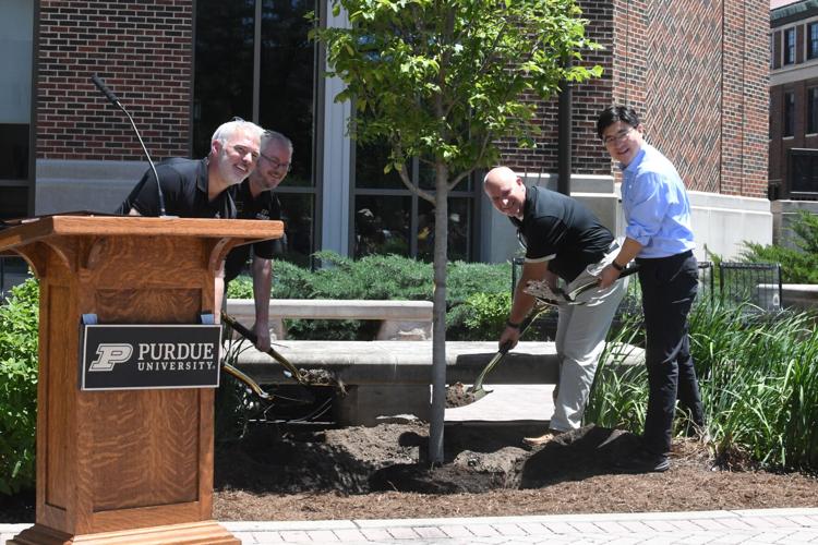 Purdue ends five year plan, plants 3,738th tree | Campus ...