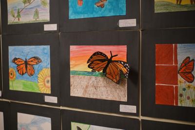 Spring Fest's Bug Bowl nurtures curiosity and community | Campus ...